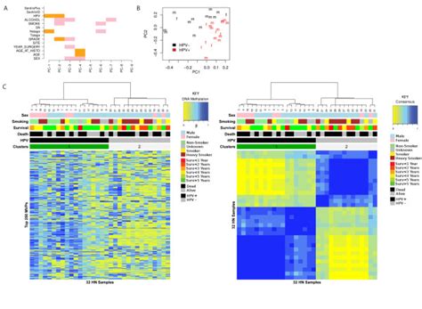 unsupervised analysis of the top 250 methylation variable positions