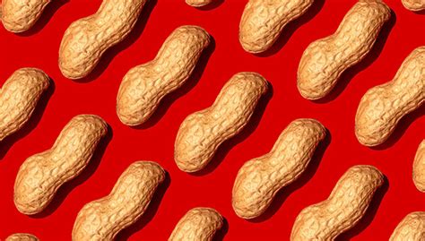 Allergy Testing Quest®