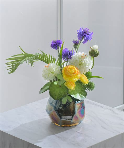 エミリオロバ Emilio Robba