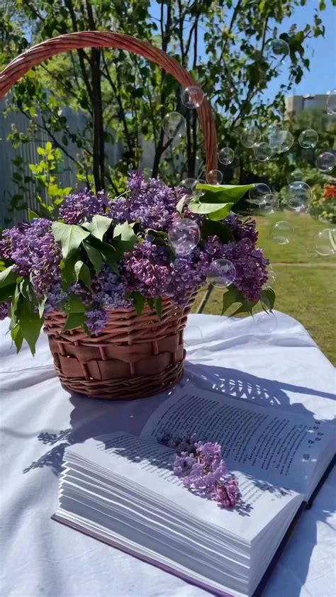 💜صباح جميل ويوم أجمل بإذن الله 💜 In 2024 Terrace Garden Design Sky