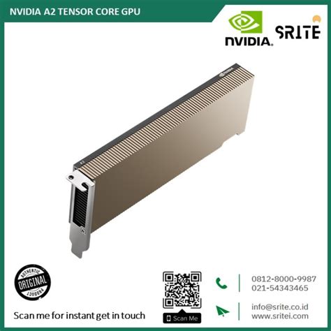 Jual Nvidia A2 Tensor Core Gpu Ampere Architecture Jakarta Barat
