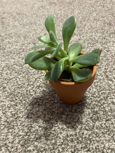 Haider Sultan Photography