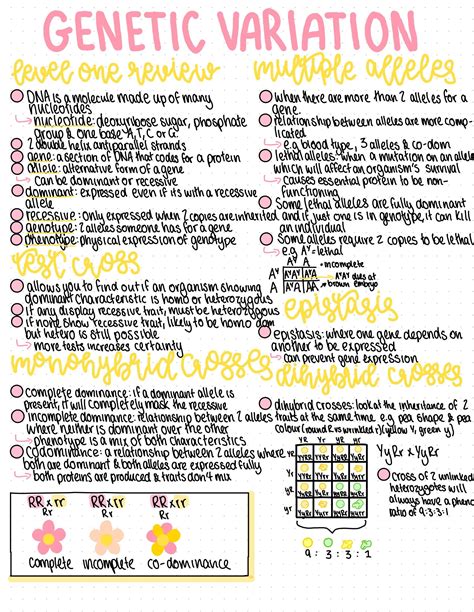 Genetic Variation Notes