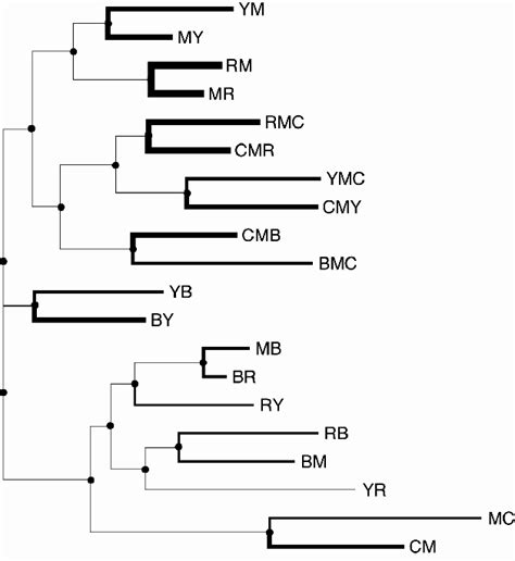 Additive Tree Of Correlations Among Specific Omission Errors For