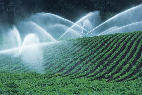 Irrigation Landscaping Design And Installation Alpha Advantage