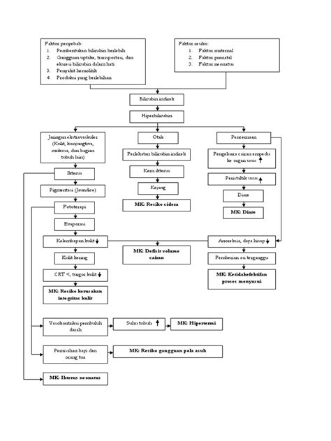 Hiperbilirubin Patofisiologi Pdf Sains And Matematika