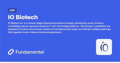 Iobt Valuation Fundamentei