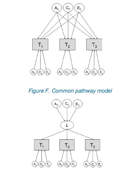Figure E Independent Pathway Model Download Scientific Diagram