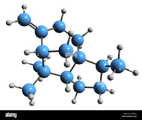 3d Image Of Beta Cedren Skeletal Formula Molecular Chemical Structure