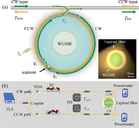 Experimental Setup Of Eit Like Mode Splitting In A Single Microcavity Download Scientific