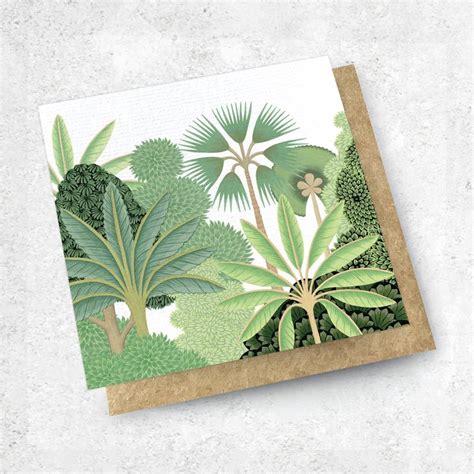 Nature Light Card For All Occasions Cards At The Vault Nz Nz