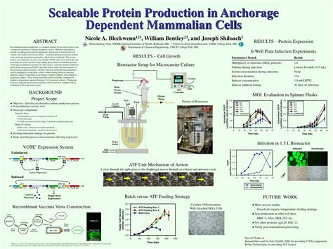 Ppt Scaleable Protein Production In Anchorage Dependent Mammalian Cells Powerpoint