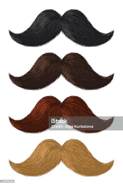 사실적인 색상 콧수염 블랙 금발 갈색 콧수염 힙스터와 신사 우아함 디자인 이발소 얼굴 헤어 스타일 벡터 세트 콧수염에 대한 스톡 벡터 아트 및 기타 이미지 Istock