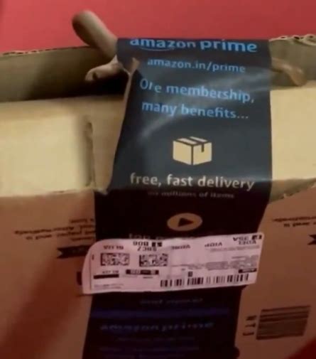 Bengaluru Couple Finds Cobra In Amazon Package Meant For Xbox