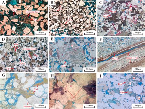 Photomicrographs Of Typical Digenesis And The Main Types Of Porosities