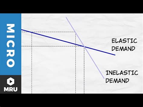 Elasticity Inelasticity Graph