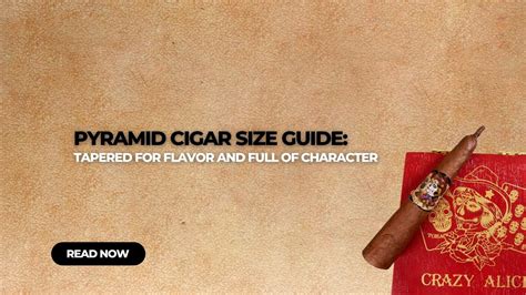 Pyramid Cigar Guide Flavor Shape And Top Picks