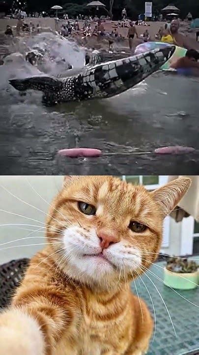 Testesteron ☠️ Youtube