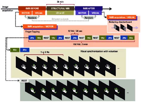Experimental Paradigm In The Motor Paradigm Cued By Visual Stimuli