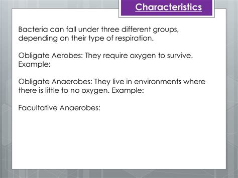 Kingdom Monera Bacteria Ppt Download