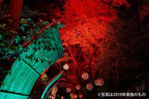 御殿山ウインターイルミネーション 御殿山art＆technology Week ぴあエンタメ情報