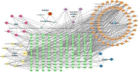 stdp component mva target interaction network stdp shexiang tongxin