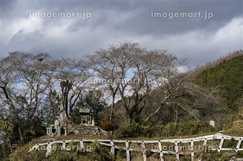 村指定史跡 南淵請安の墓の写真素材 241661795 イメージマート