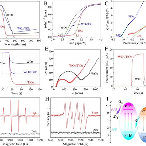 The Schemata Of Preparation Of Fabrication Of The Pec Immunosensor