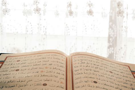 Faint Background Photos Download The Best Free Faint Background Stock