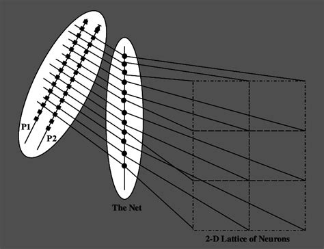 The Self Organizing Feature Map As Describe By Kohonen The Vector Download Scientific Diagram