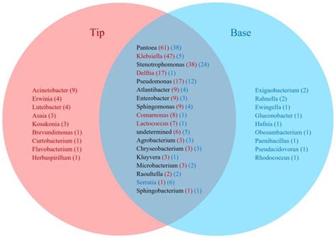 Editorchoice Microbiome Maize Fusarium Pathogens Mdpi