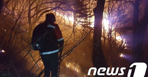 강원 양양군 산불 진화 작업 중