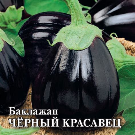 Семена Баклажан Черный красавец, 25г, Гавриш, Фермерское подворье по ...
