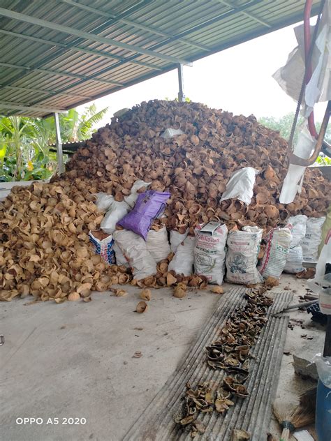 รับซื้อ กะลามะพร้าว ราคาดี ภาคใต้