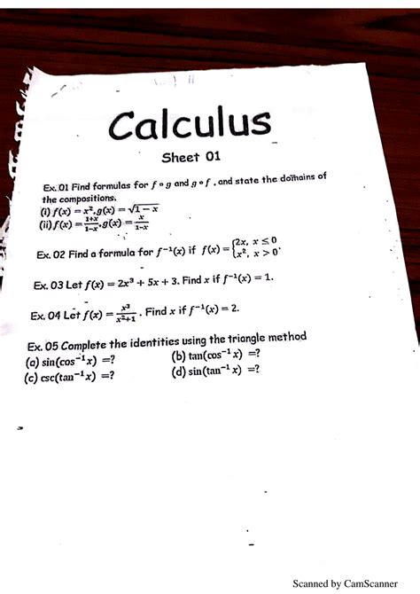 Solution Calculus Sheets Studypool