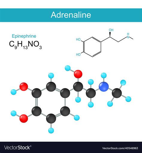 Adrenaline Molecular Chemical Structural Formula Vector Image