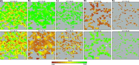 Disaggregated Crop Specific Images From Synthetic Msr Data Over A