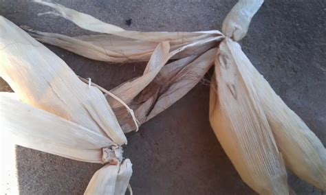 Amero Conceptos Y Usos En Finanzas Inversión Y Finanzas