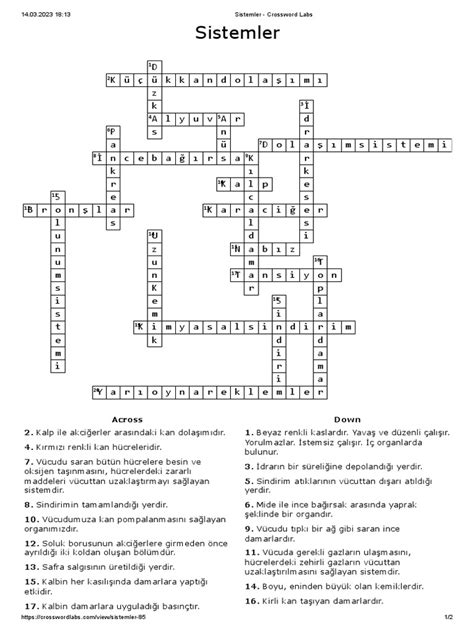 Sistemler Crossword Labs Pdf