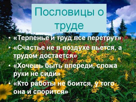 Пословицы и поговорки о труде и трудолюбии для детей
