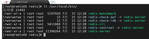 （动力节）redis7 第二章redis的安装与配置redis 配置 0007 Csdn博客