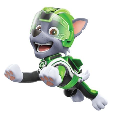 Rocky Paw Patrol Patrulha Canina Personagens Festa Temática Harry