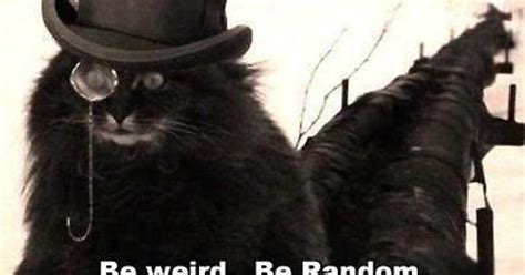 Be Yourself Everyone Else Is Already Taken” Oscar Wilde Imgur
