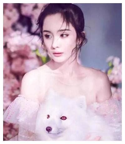 杨幂带火了一款兰花指看到她倒垃圾的样子怪不得转型不成功呐