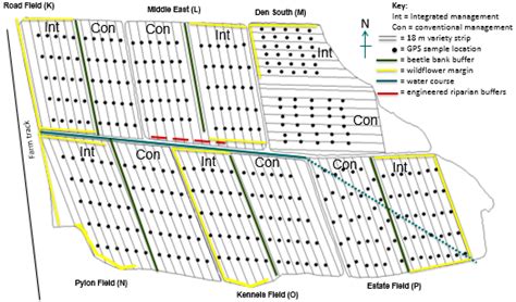 Intensive Cropping Layout