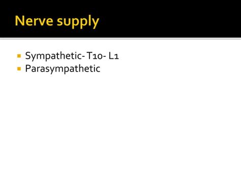 Anatomy Of Caecum And Appendixpptx