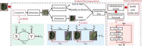 The Main Process Of Apple Leaf Diseases Identification Download
