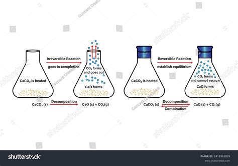 1030 Chemical Reaction Dynamics Royalty Free Photos And Stock Images Shutterstock