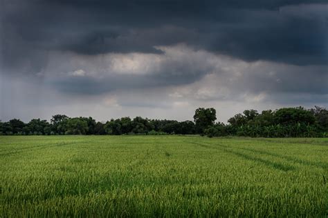 Cómo aprovechar la temporada de lluvias en el campo Rotoplas