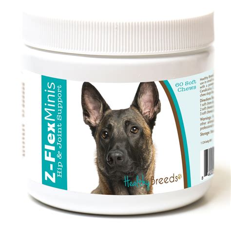 Are Belgian Malinois Prone To Hip Dysplasia